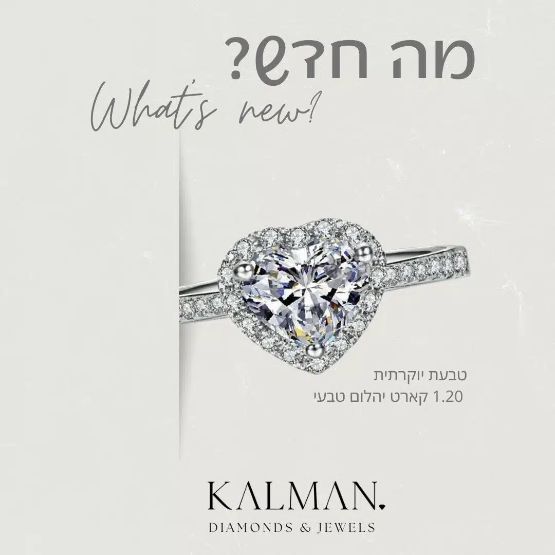 צפו בפרויקטים הנבחרים של חברת Digital Solutions